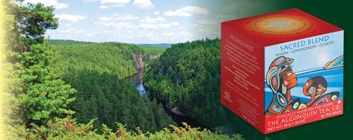The Algonquin Tea Co. - 100% Certified Organic, Hand-picked, Wild and ...