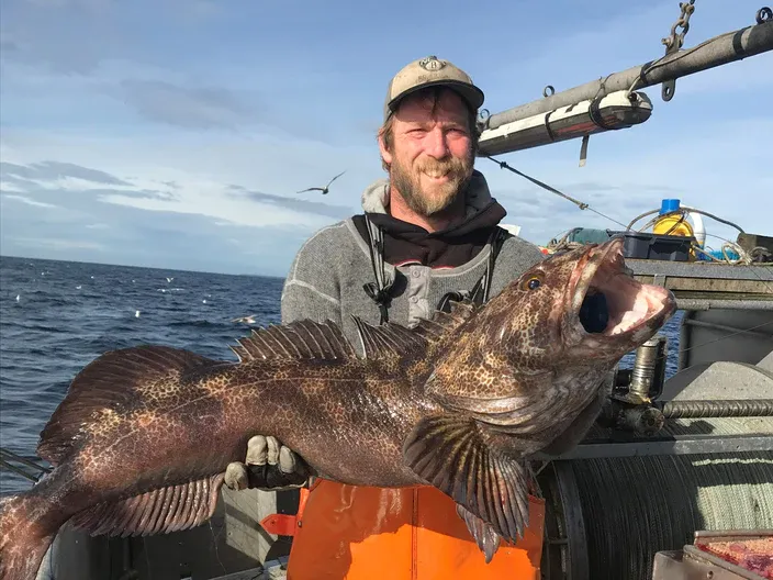 Organic Ocean Seafood Naturally - Ling is King - A favourite of ...